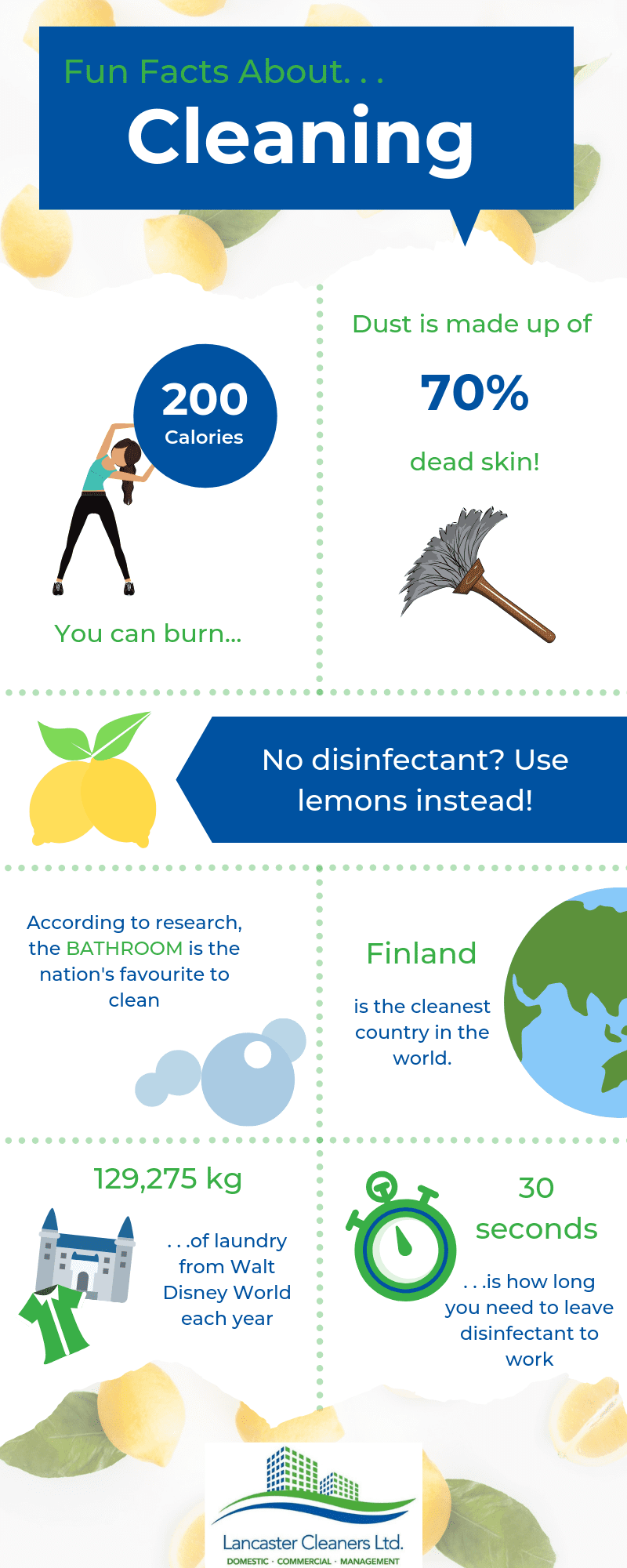 Fun Facts About Cleaning Your Home | Blog – Lancaster Cleaners